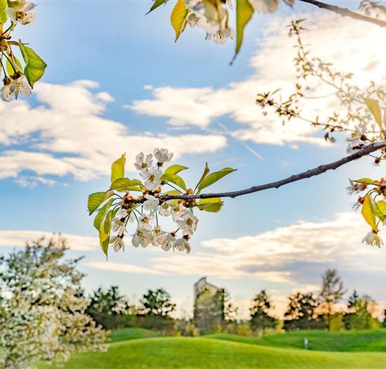 Wolverine | Traverse City Golf Courses Open to The Public | Michigan ...