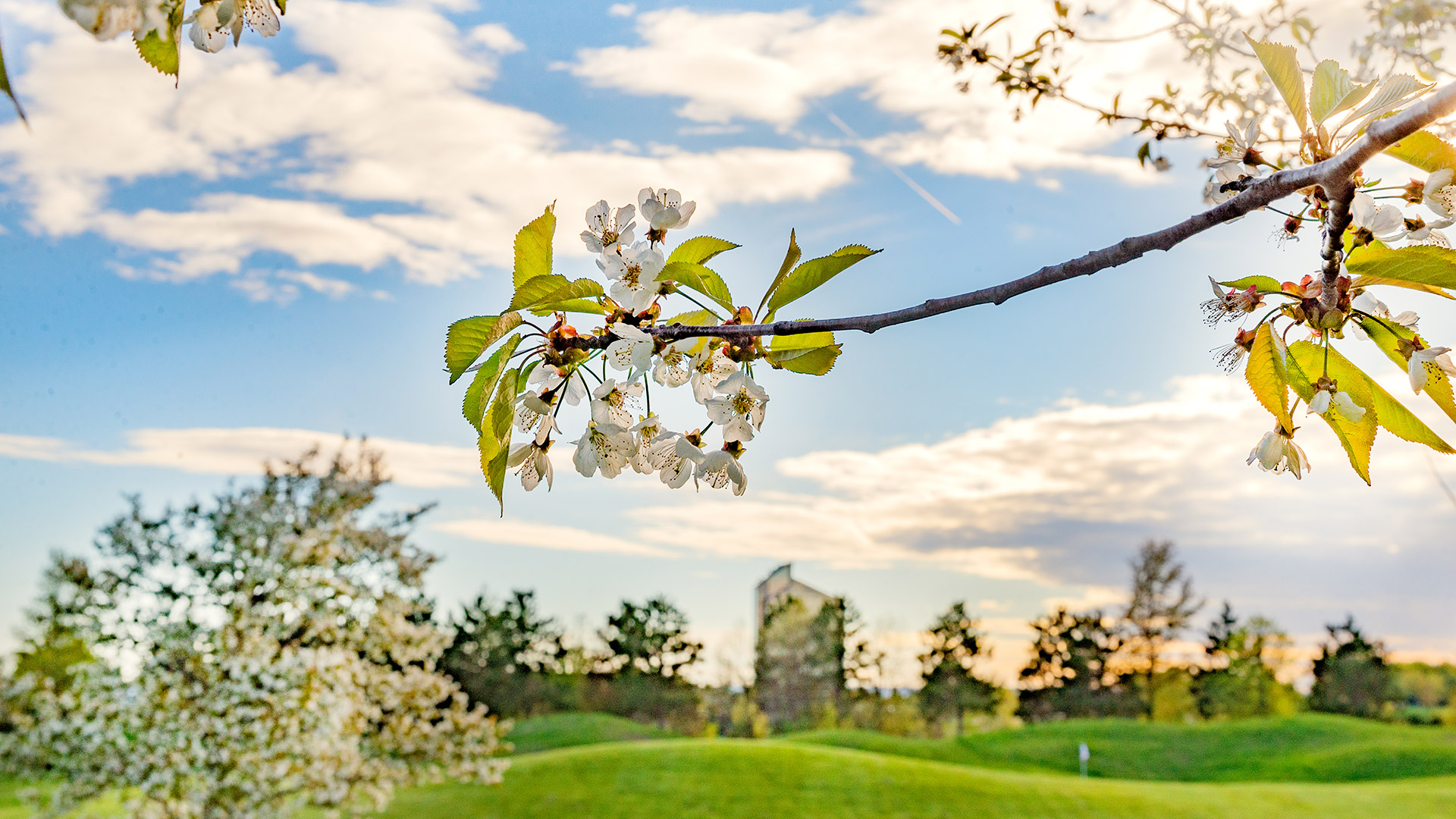 Traverse City, MI Resort Image Gallery | Grand Traverse Resort and Spa